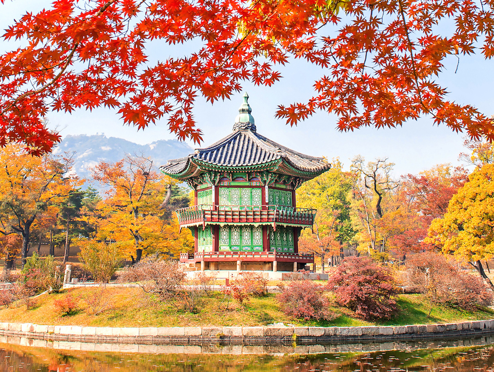 Travel Spotlight: 5 Must-See Attractions in Seoul - Blog | Western Union