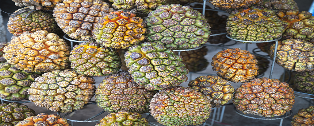 9 of the Most Exotic Fruits in the World| Western Union