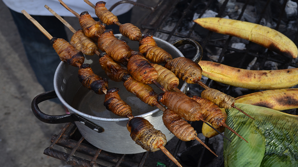 10 Finger Foods from Around the World | Western Union