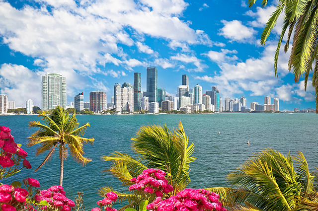 Guía completa de qué hacer en Miami: itinerarios y recomendaciones ...