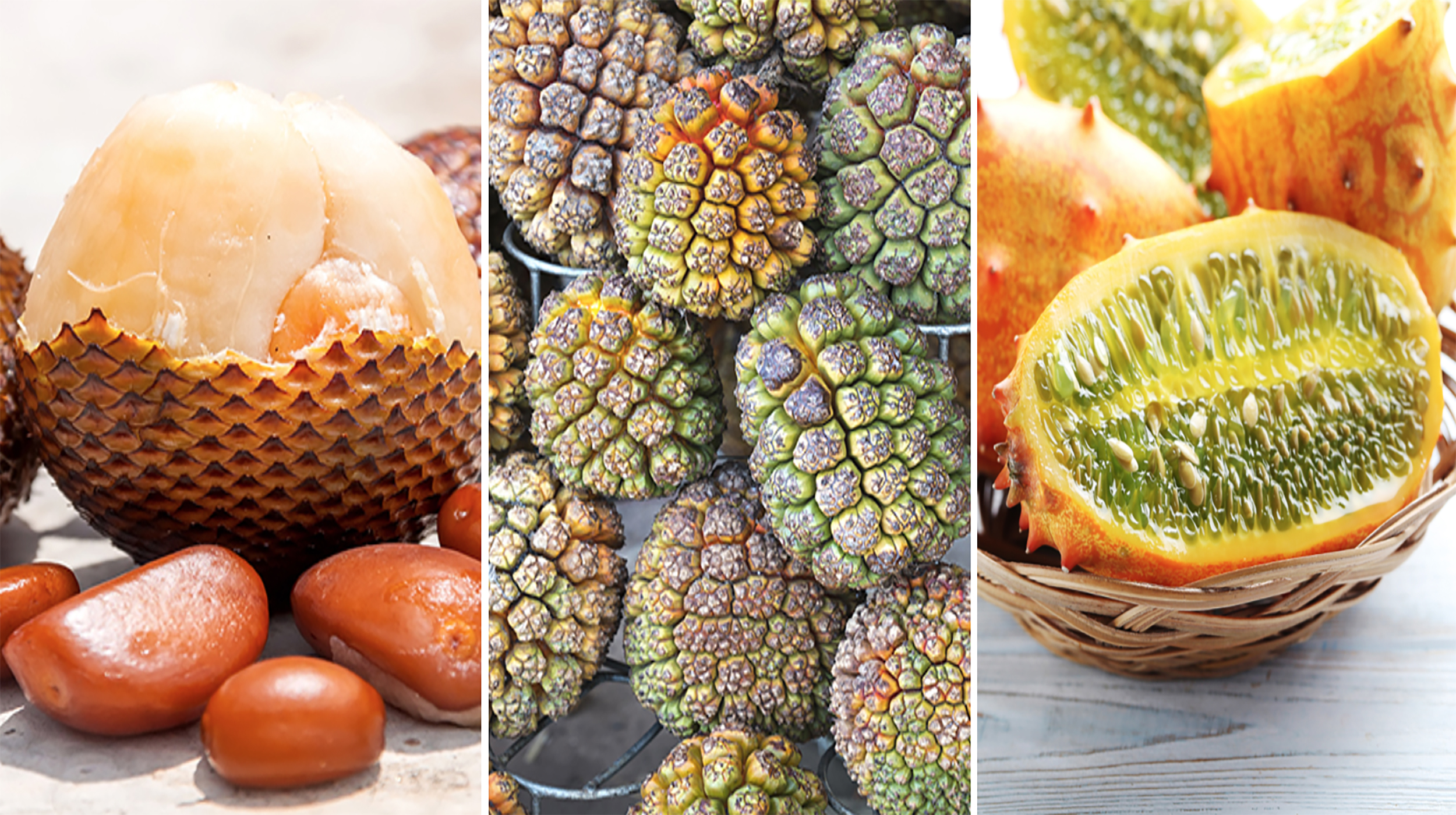 9 of the Most Exotic Fruits in the World| Western Union