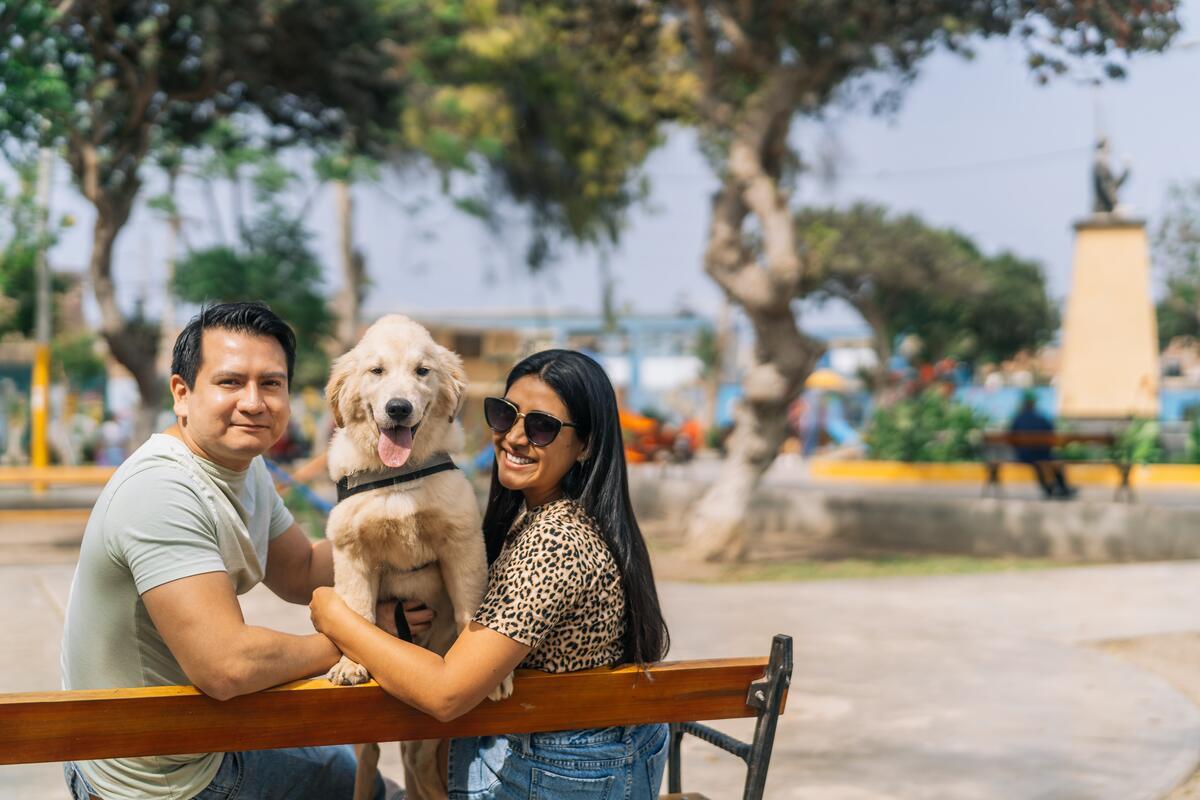 How to Protect Yourself from Puppy Scams Online | Western Union