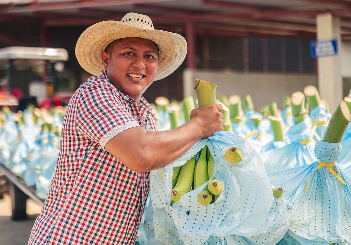 Inviare denaro in Costa Rica | Western Union IT